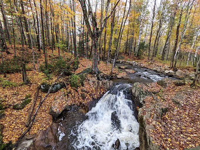 Nature's own waterslide: This cascading stream proves that Gifford Woods has its own version of a water park, au naturel.