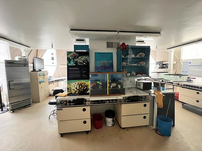 In this research lab, scientists study marine ecosystems, bringing a piece of the ocean to the Arizona desert.