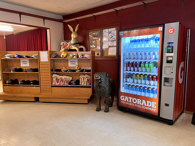 Souvenirs and snacks galore! This shop is where memories are bottled, packaged, and occasionally found in plush animal form.