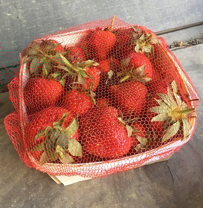 Fresh local berries that make you understand why farmers wake up at dawn - pure summer sweetness in every bite.