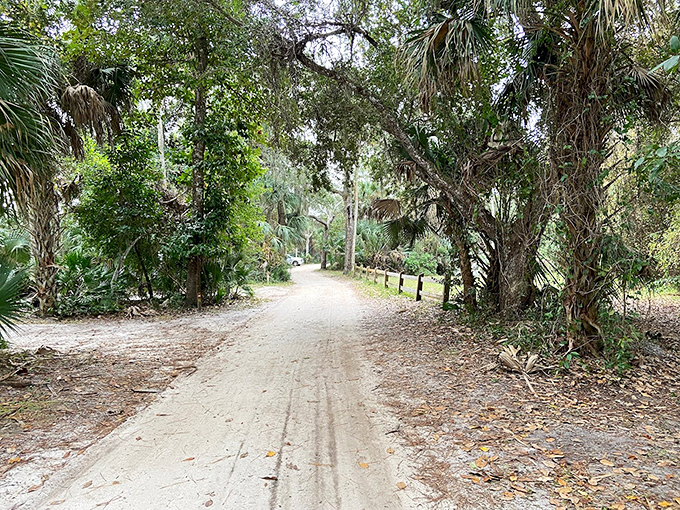 Follow the sandy path to adventure! This trail is nature's red carpet, inviting you to strut your stuff among the whispering palms.