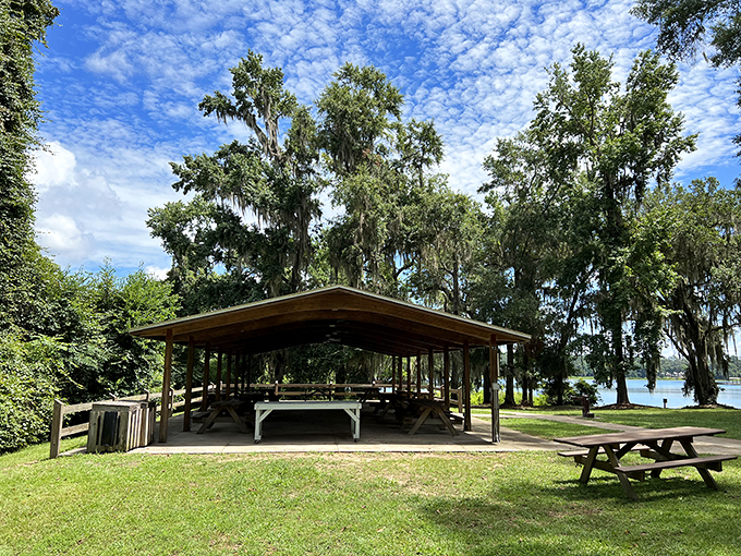 Picnic paradise found: The perfect spot for lunch with a view. Just watch out for sneaky squirrels eyeing your sandwich – they're locals too! Photo credit: Jeremy Glover