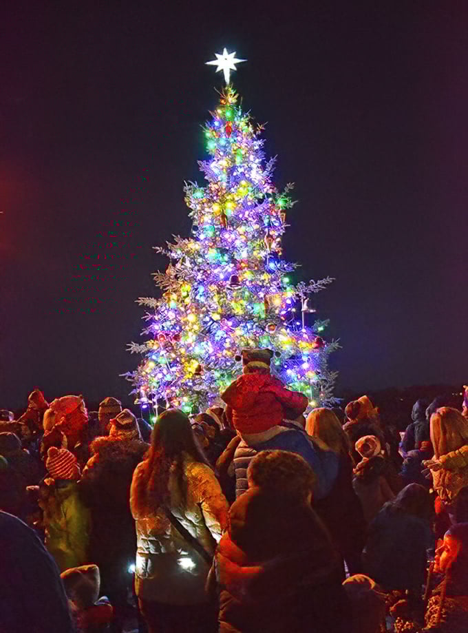 O Christmas tree, o Christmas tree, how lovely are thy... everything! Stillwater's tree-lighting brings out the kid in everyone.