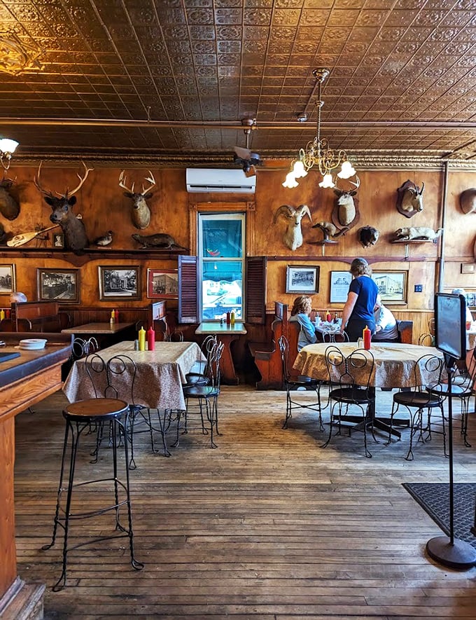 Step into Sleder's time machine, where every mounted head tells a story and every photo on the wall whispers tales of yesteryear.