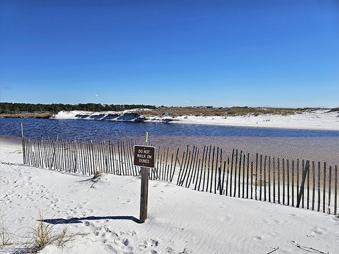 "Do Not Walk On Dunes" - The only sign you'll see telling you to take it easy. As if we needed an excuse to relax in this slice of paradise!
