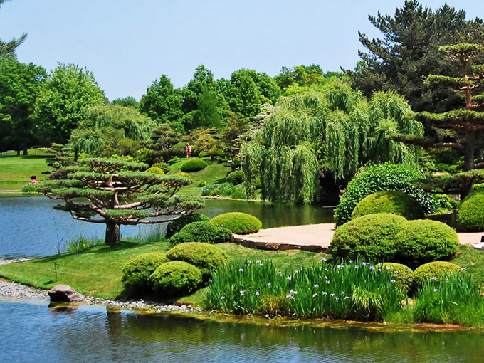 Bonsai boot camp in session! These trees are like the Navy SEALs of the plant world – tough, precise, and ready for anything.