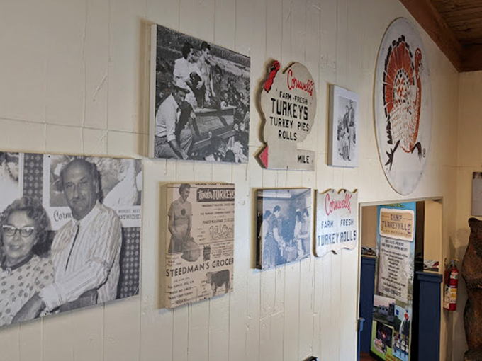 A walk down turkey memory lane! These snapshots tell the tale of how a bird became a way of life.