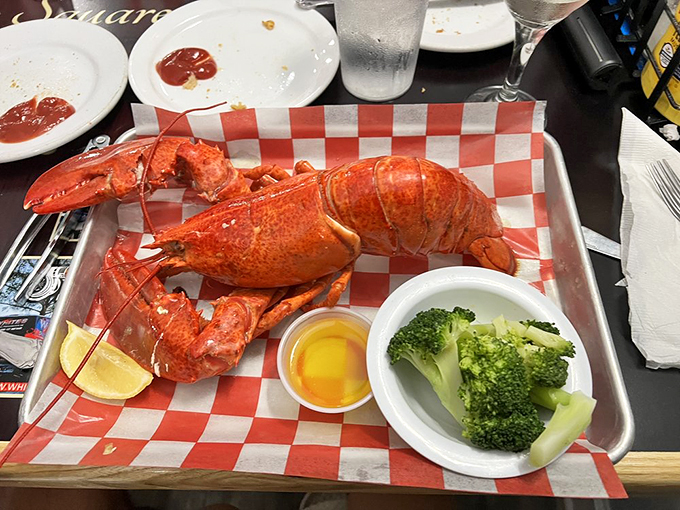 A whole steamed lobster, bright red and beautiful, ready to star in your next "Why I Love Florida" story.