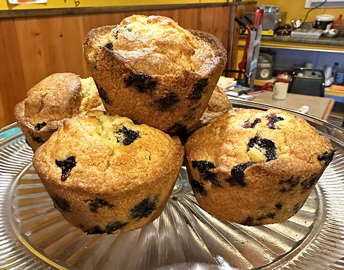 Muffin compares to these beauties! These blueberry-studded wonders are like edible sunshine, perfect for brightening even the cloudiest Vermont morning.