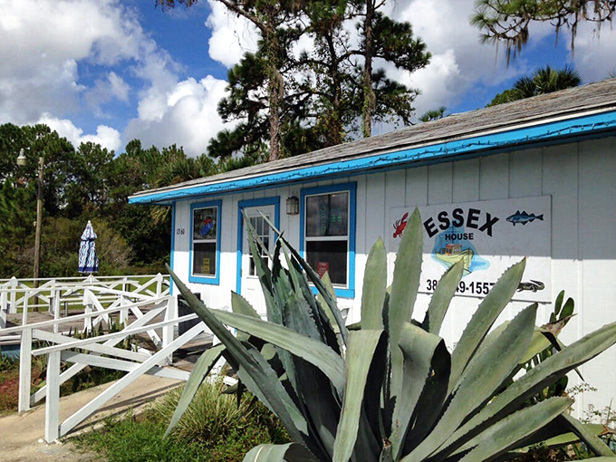 Essex House: Where seafood meets Southern charm. It's like finding Atlantis, but with better parking and no need for scuba gear.