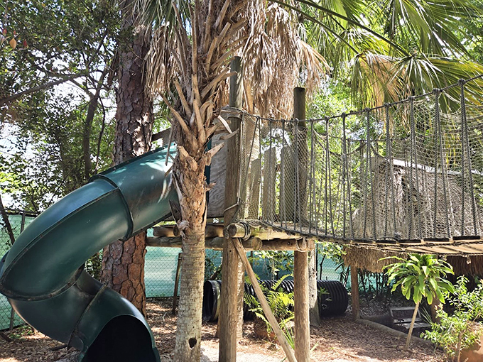 Adventure awaits above the palms - this treehouse and slide combo brings Swiss Family Robinson dreams to life.