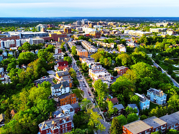 Clifton's fall foliage game is stronger than a pumpkin spice latte. Those colors are more vibrant than a tie-dye shirt convention!