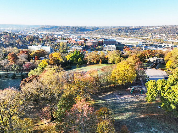Clifton in autumn: Where every tree is trying to outdo the others in a color competition. Mother Nature's own fireworks display!