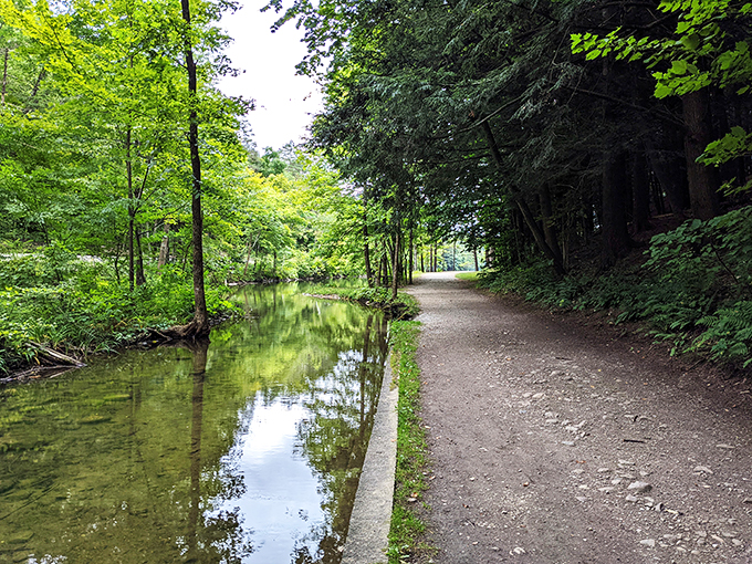 Pristine waters surrounded by lush forests: It's like Mother Nature's own infinity pool, minus the pretentiousness.