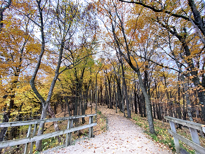 Nature's balcony seats! Perched high above the Mississippi, it's the perfect spot for contemplating life's big questions. Photo credit: Emily Sanders