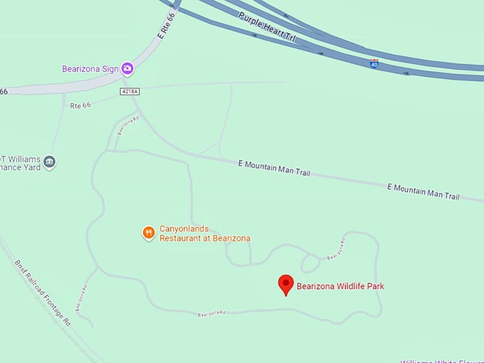 16. bearizona wildlife park map