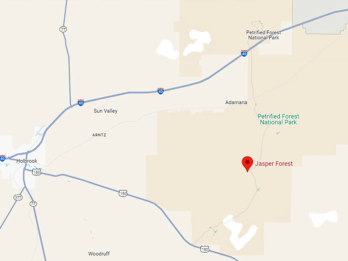 16. old jasper forest road map