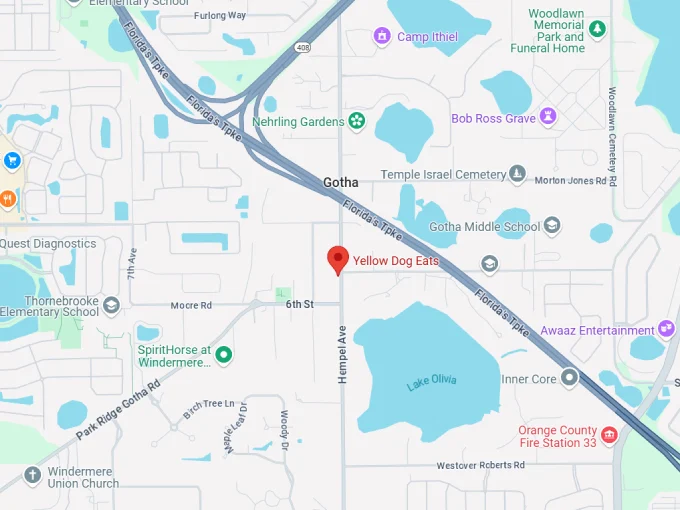 16. yellow dog eats map