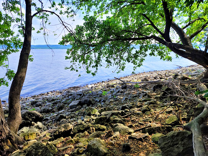 Bird's-eye views without the wings! Perched atop limestone bluffs, it's a panoramic feast for the eyes overlooking Lake Pepin. Photo credit: Bob A.