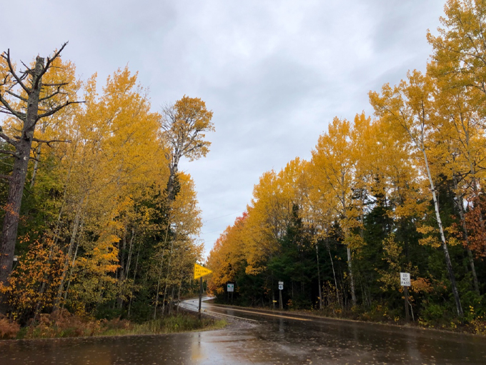 Autumn's grand finale! A riot of colors that'll make you want to break out in a chorus of "Pure Michigan." Photo credit: peter gao