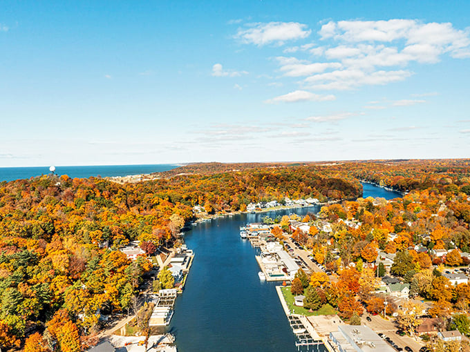  Saugatuck: Where nature paints a masterpiece! Fall foliage frames this charming harbor, creating a scene worthy of a Bob Ross painting.