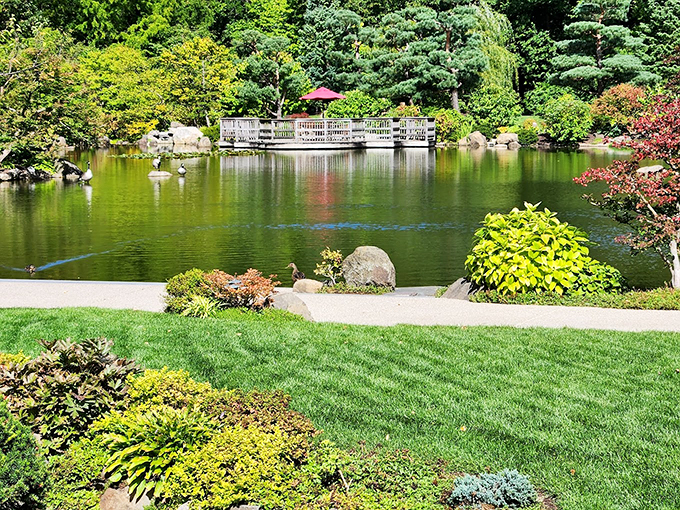 Zen and the art of garden maintenance! This bridge isn't just crossing water, it's spanning continents. Photo credit: Eva Thorsen