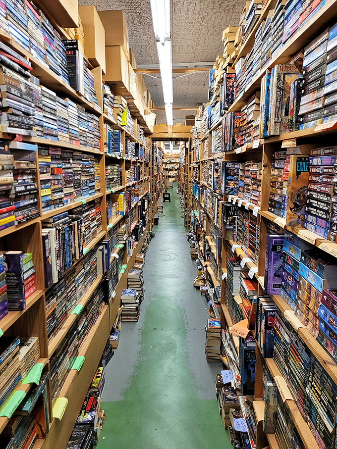 Chamblin Bookmine: Jacksonville's literary labyrinth! A treasure trove of books that would make Indiana Jones swap his whip for a library card.