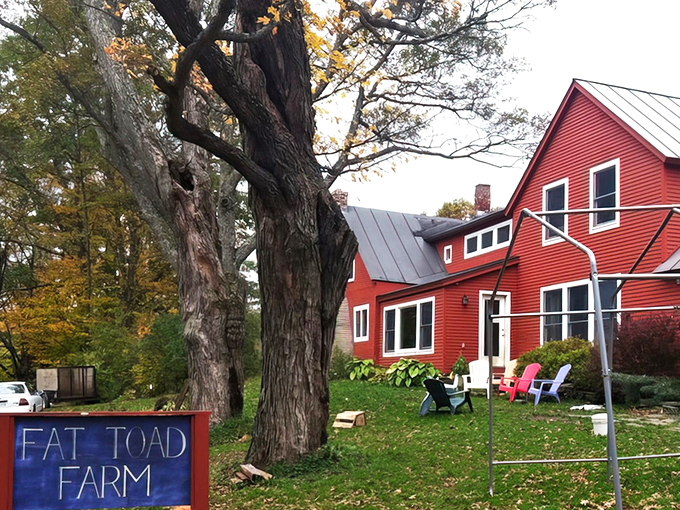 Welcome to Fat Toad Farm, where goats are the new Willy Wonka. Prepare for a caramel revolution!
