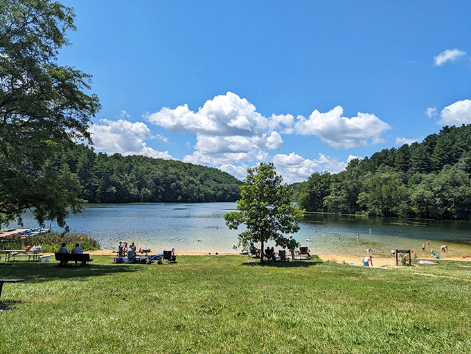 Nature's own waterpark! Crystal-clear lake waters invite you to dive in, while lush forests whisper tales of adventure.