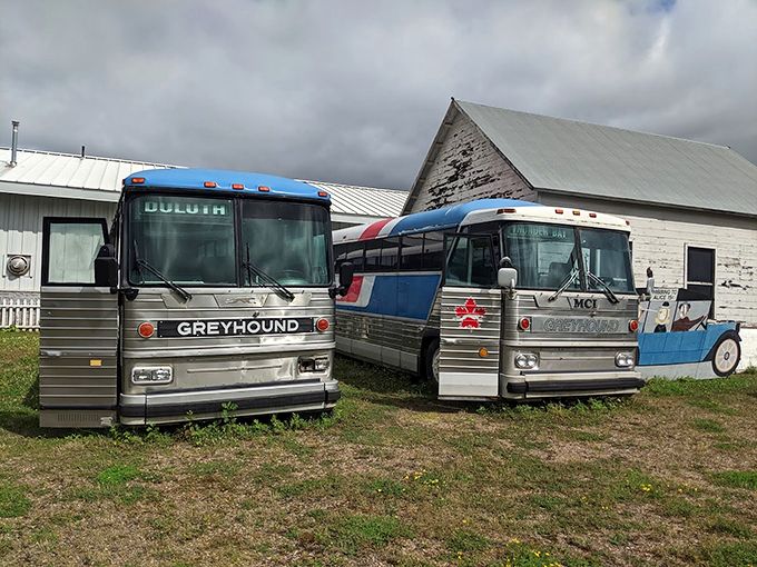 Time-traveling on wheels! These vintage beauties are like the DeLoreans of public transport, minus the flux capacitor. Photo credit: Patti Johnson