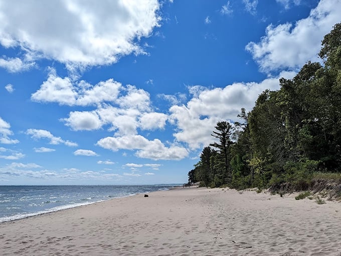 Nature's sandbox meets a pristine shoreline - where Lake Michigan's waves create a symphony against towering pines and endless sand.