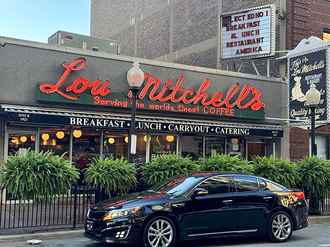 Neon dreams and breakfast schemes! Lou Mitchell's sign glows like a beacon for hungry souls seeking the ultimate Chicago diner experience.