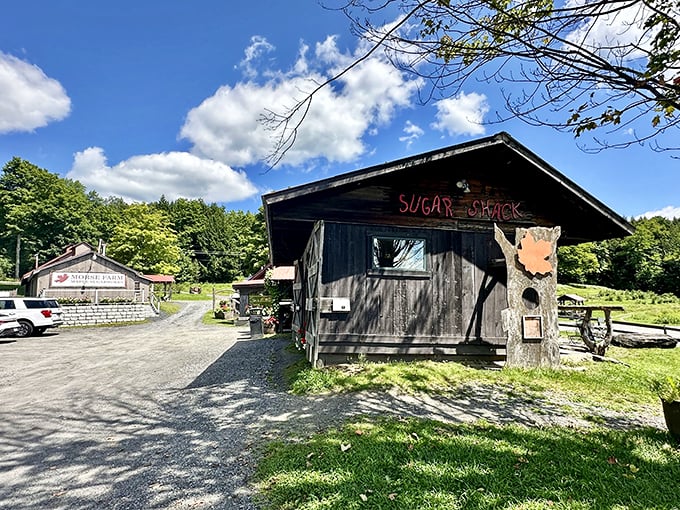 Morse Farm's rustic charm hits you like a delicious wave of nostalgia, complete with a side of maple creemee.