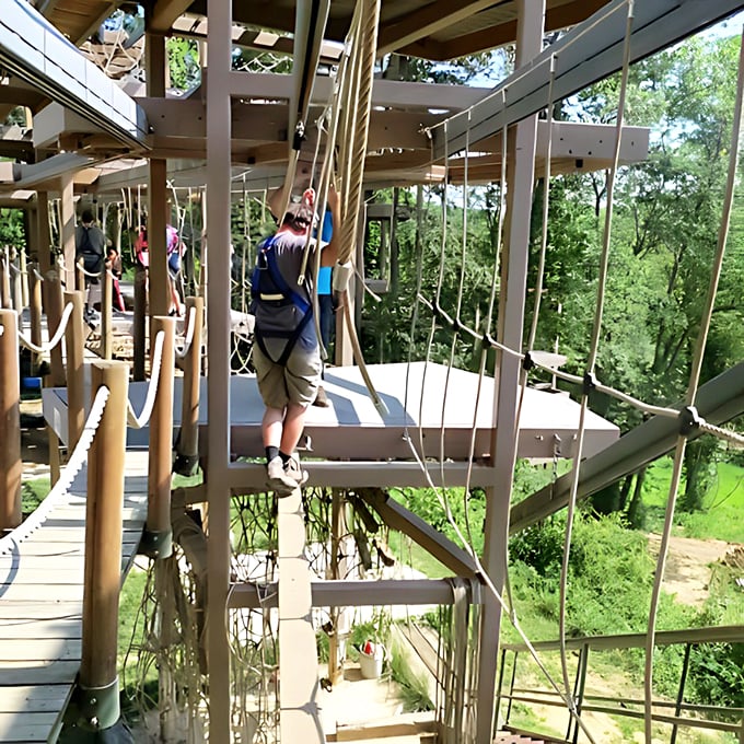 Tightrope walking meets jungle gym! Who knew adulting could involve so much balancing and giggling?