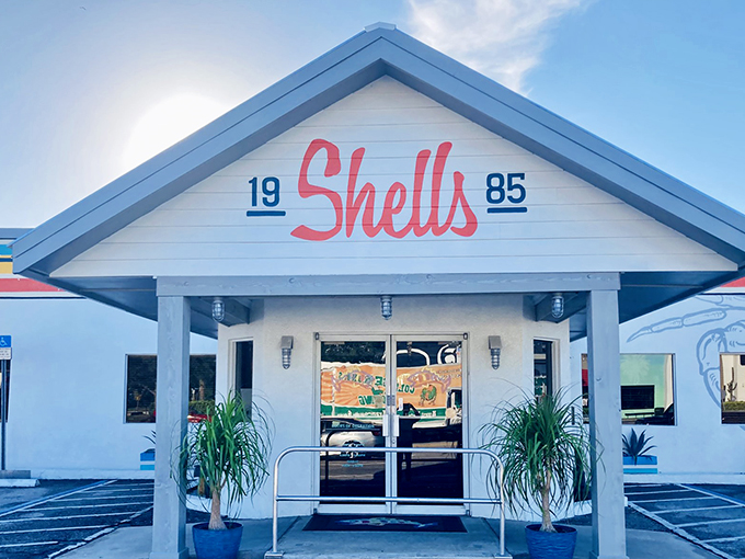 Shells Seafood: Where seafood dreams come true! This Tampa treasure's been serving ocean delights since 1985, longer than some pop stars have been alive.