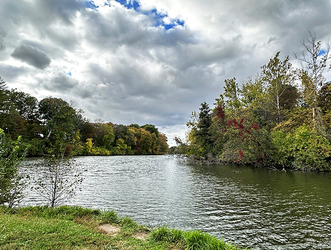 Nature's mirror: The Gardens at SIUE reflect autumn's splendor in a serene lake. Leaf peeping just got an upgrade!