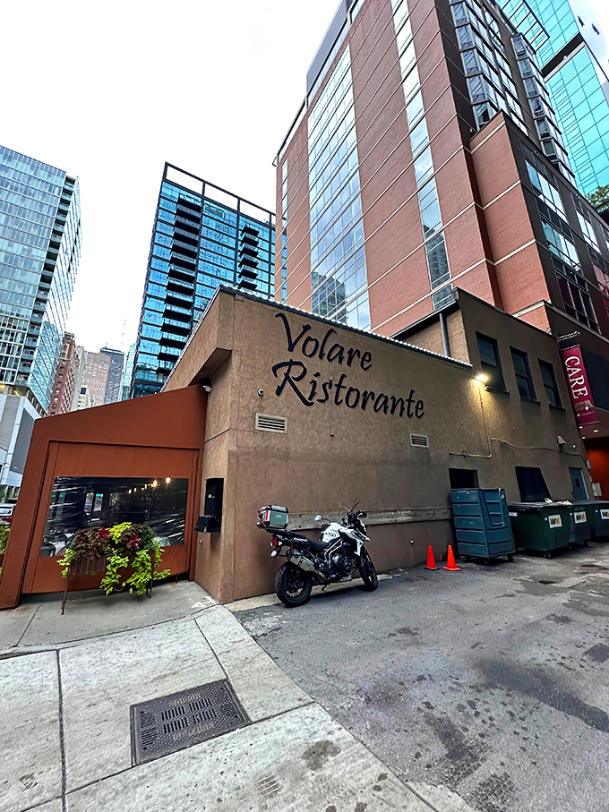Volare: Where skyscrapers meet spaghetti! This urban oasis serves up slices of Italy amid Chicago's concrete jungle.