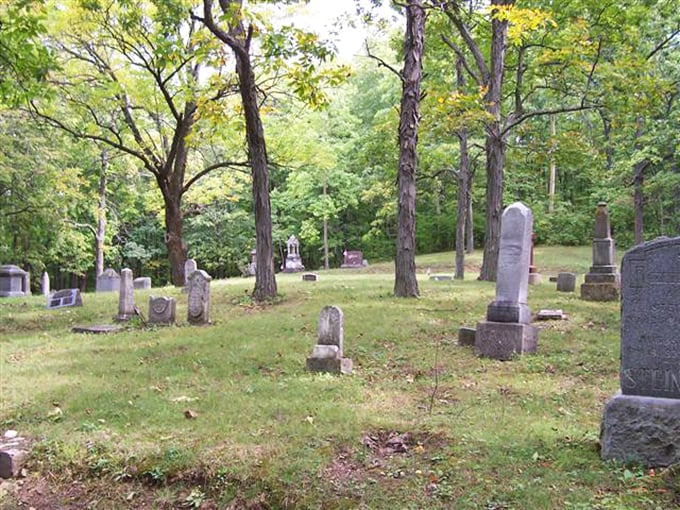 Nature's embrace! Ancient walnut trees stand guard over weathered tombstones, creating a hauntingly beautiful tableau that's part history book, part arboretum.