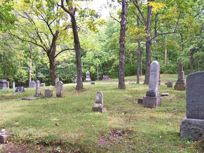 Nature's embrace! Ancient walnut trees stand guard over weathered tombstones, creating a hauntingly beautiful tableau that's part history book, part arboretum.