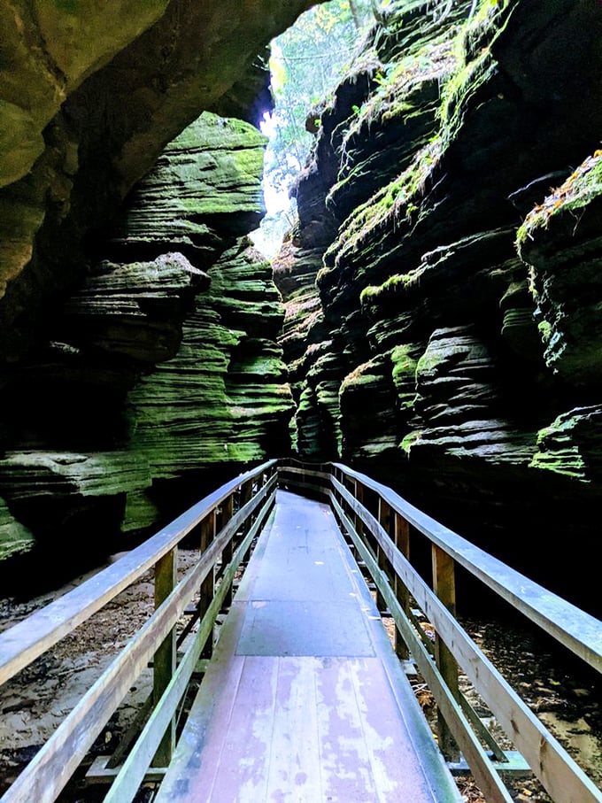 Nature's own funhouse mirror! This winding walkway through mossy rock formations feels like stepping into a fairy tale.