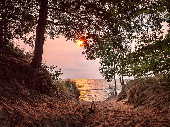 Sunset serenity! This hidden beach path in Saugatuck leads to a golden hour view that rivals any Caribbean postcard.