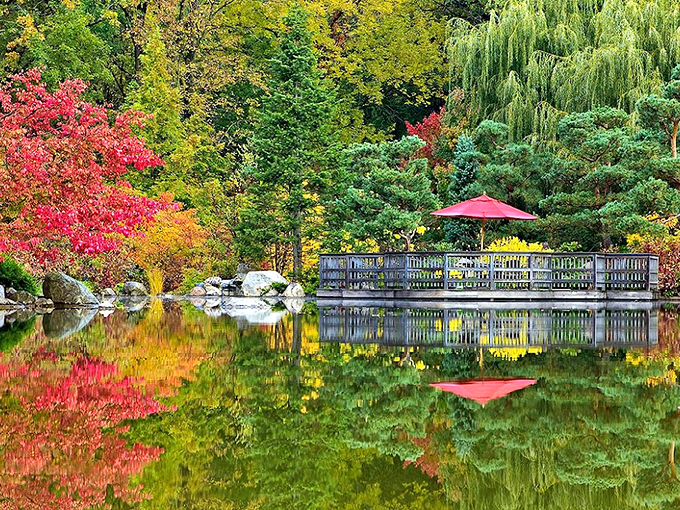 Fall in love with fall all over again. Nature's paintbrush turns this garden into a living, breathing Monet. Photo credit: Carl Walker