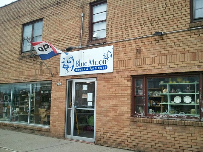 Discover a cozy haven of books and antiques, brimming with nostalgia and charm&mdash;a delightful stop for every curious soul.