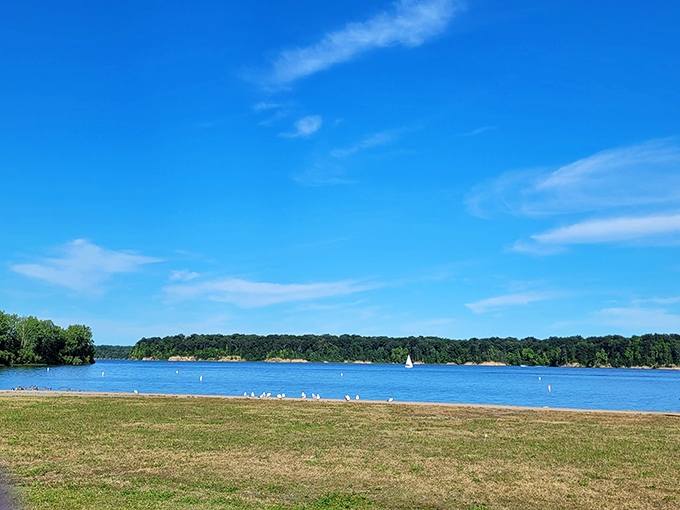 Boating paradise or beach bum's dream? Why choose? Caesar Creek offers both, with a side of stunning scenery.