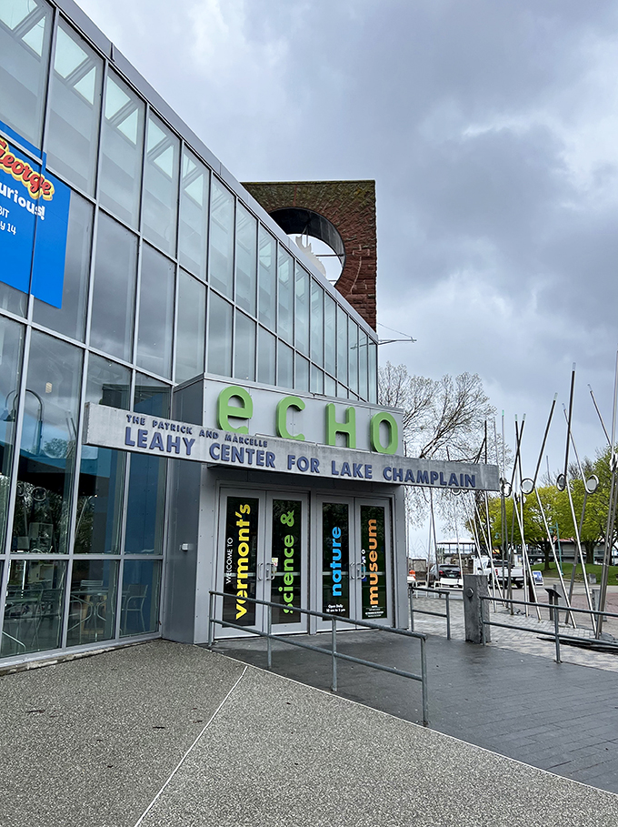 Dive into discovery! ECHO's entrance is like a portal to an underwater world, no scuba gear required.