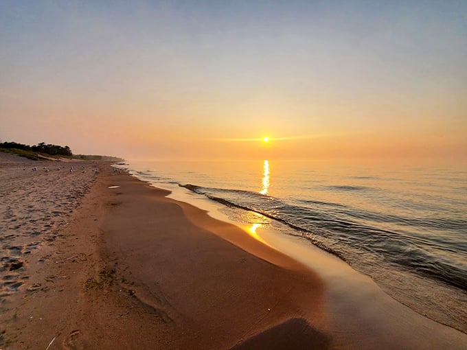 Golden hour casts a warm embrace over serene waves, where sand meets the lake in a quiet, timeless dance of nature&rsquo;s beauty.