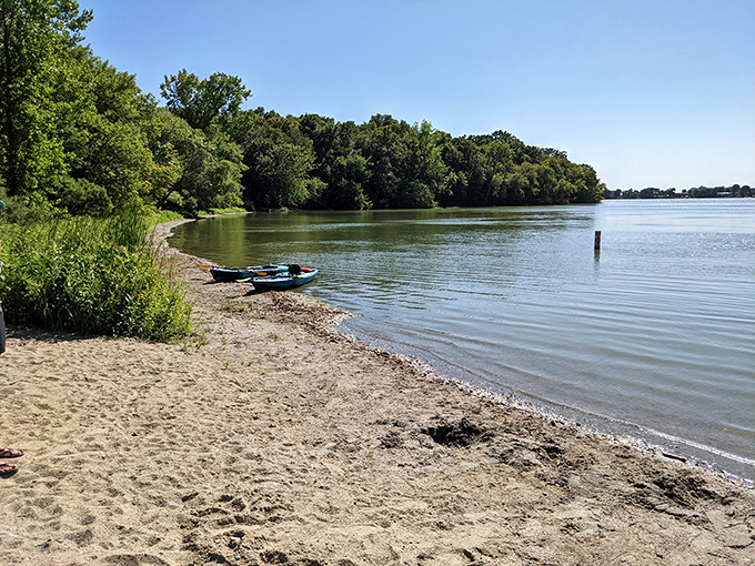 Kayak paradise or nature's watercolor? Lake Marion's shoreline invites adventure seekers and daydreamers alike. Photo credit: Carl Fredrickson