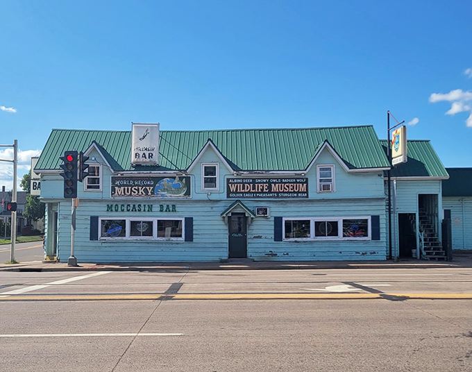 Where wildlife and wild nights collide! This Hayward haunt serves up a side of taxidermy with your tipple.