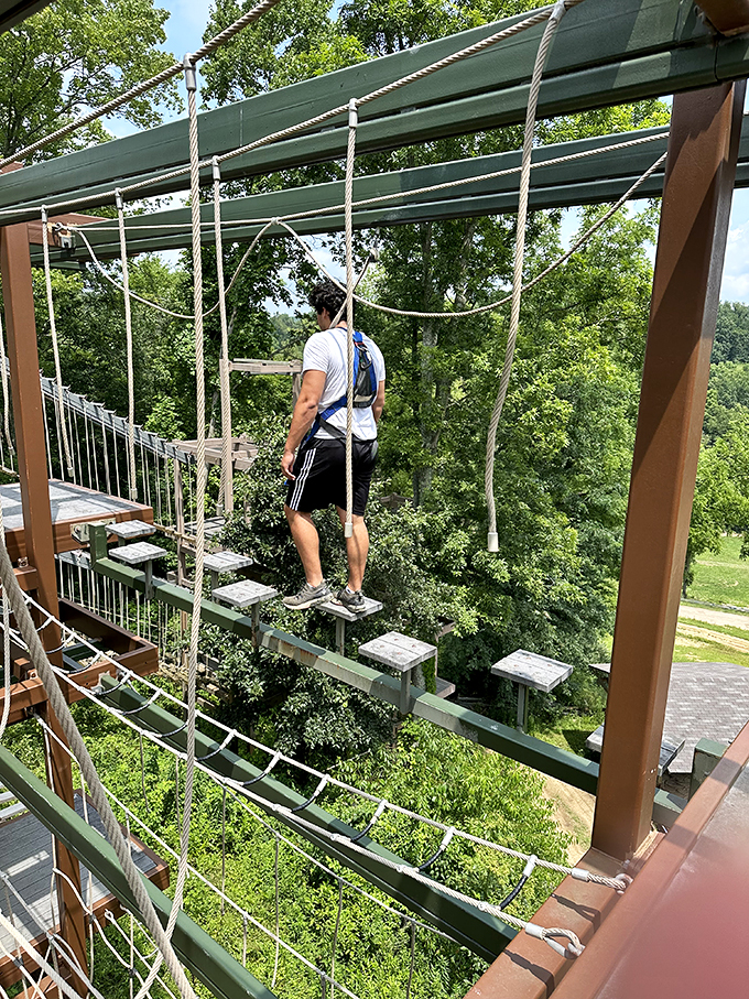 Forget the stairmaster! This treetop tango will have you feeling like Tarzan with a gym membership.