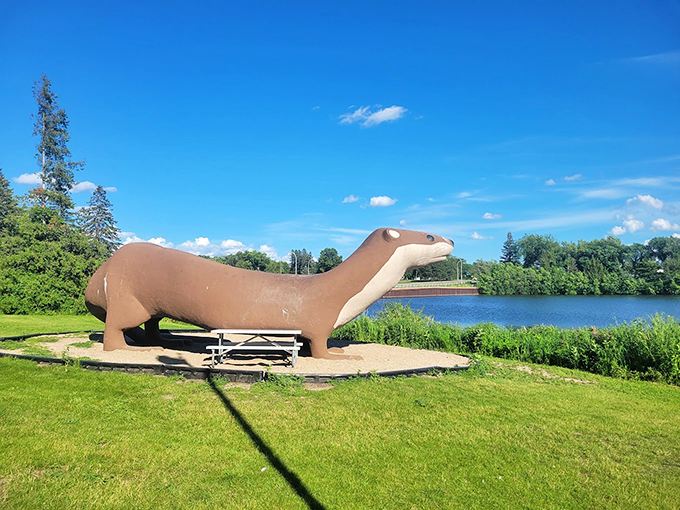 Talk about an otter-ly ridiculous career change! Otto traded his river home for a life of concrete stardom. He's living large and in charge. Photo credit: Crystal Beno